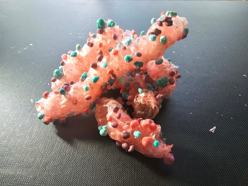 Sour String (Nerds Ropes) (Freeze Dried Candy) – Sub Zero Treats